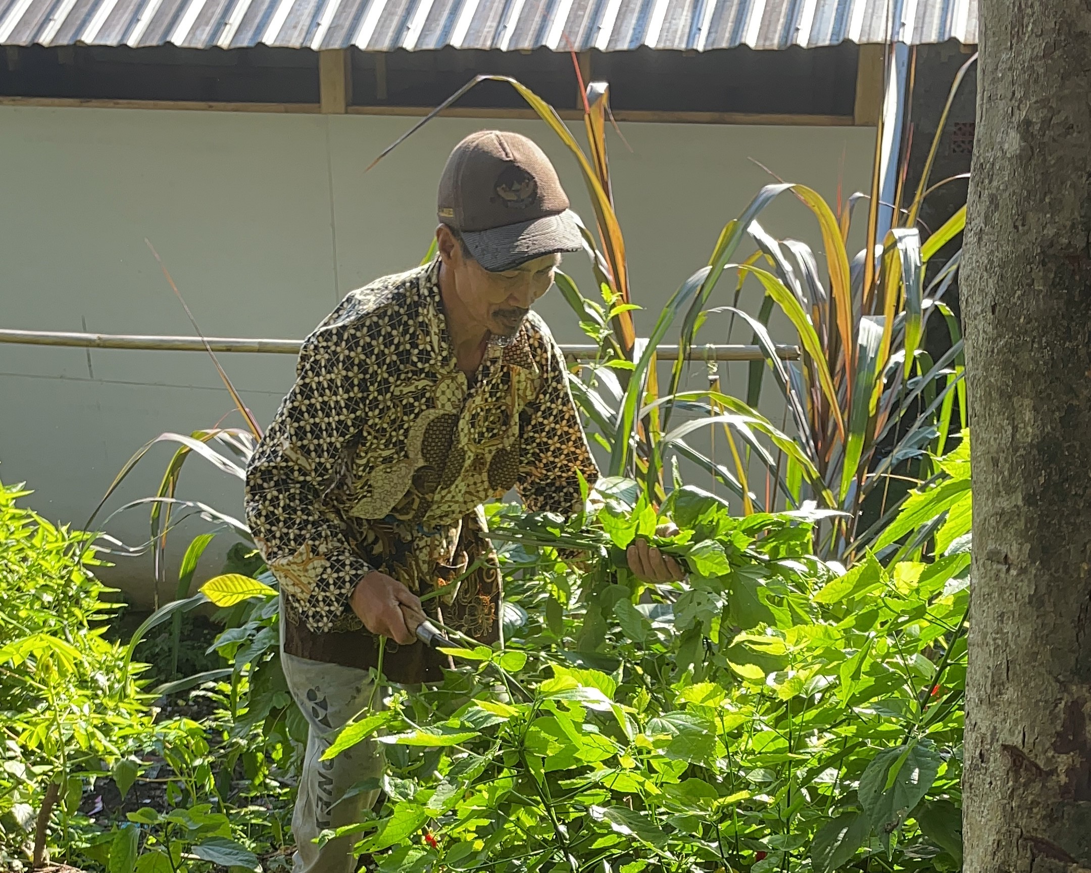 Bantu Pencari Rumput Ini Berjuang Demi Kesembuhan Anak Idap TBC Tulang ...